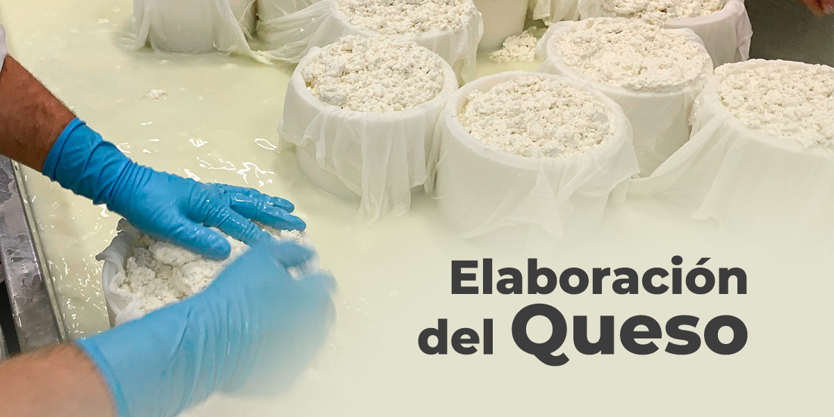 El proceso de elaboración del queso | Quesos El Bosqueño